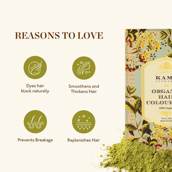 Buy Kama Ayurveda Organic Hair Color Kit online