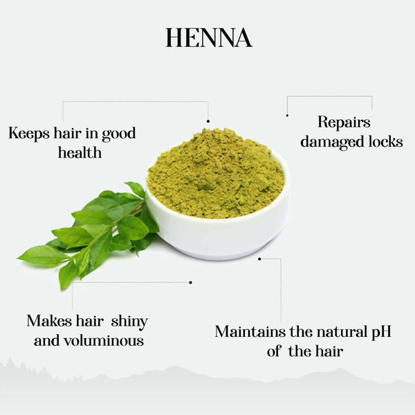 Buy Alps Goodness Henna Based Hair Color Powder Online at Best Price ...