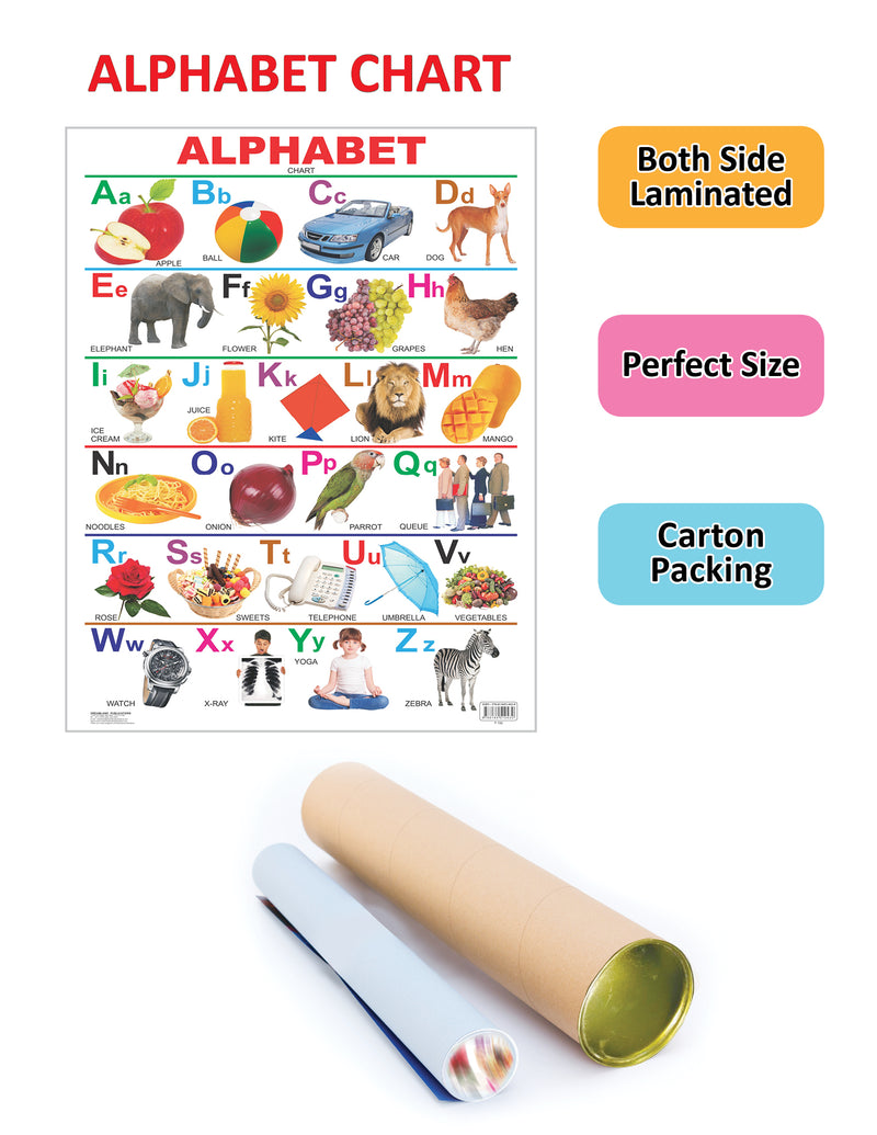 Buy Dreamland Publications Educational Chart for Kids - Alphabet Online ...