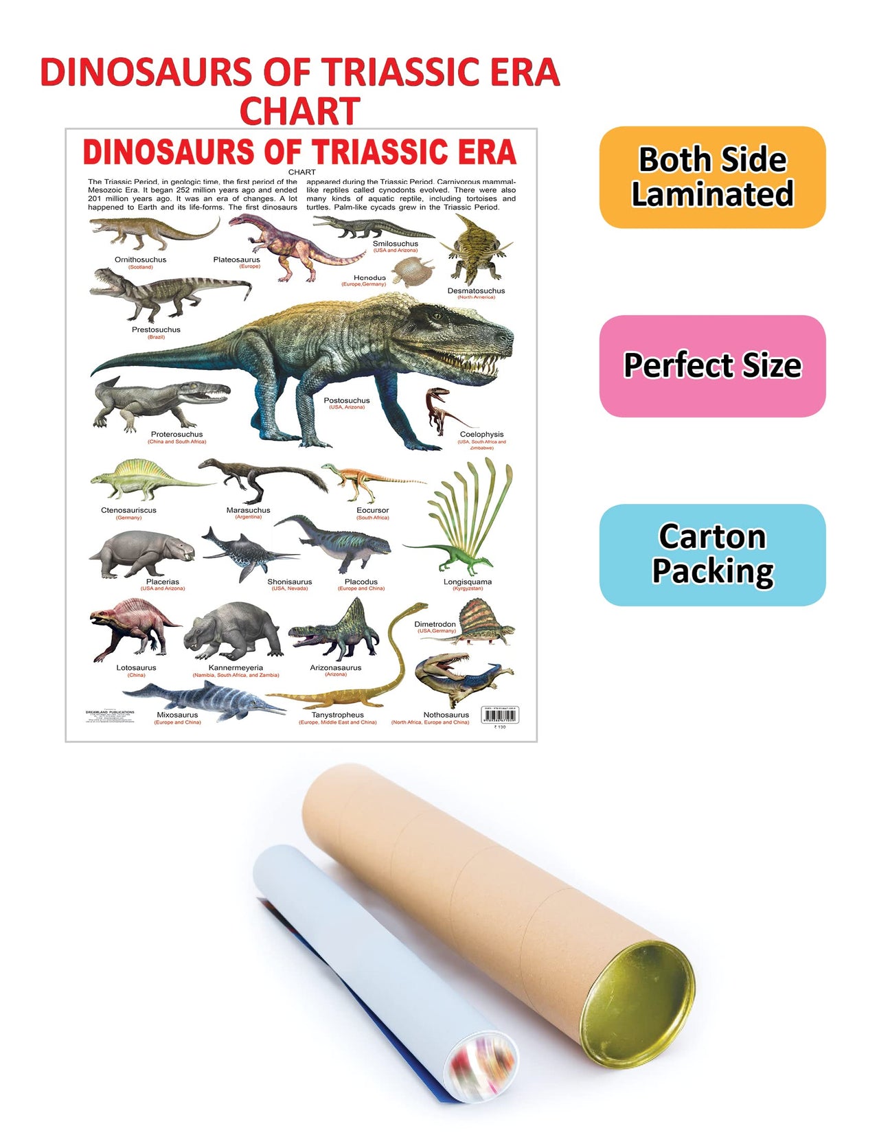 Buy Dreamland Publications Educational Chart for Kids - Dinosaurs of ...