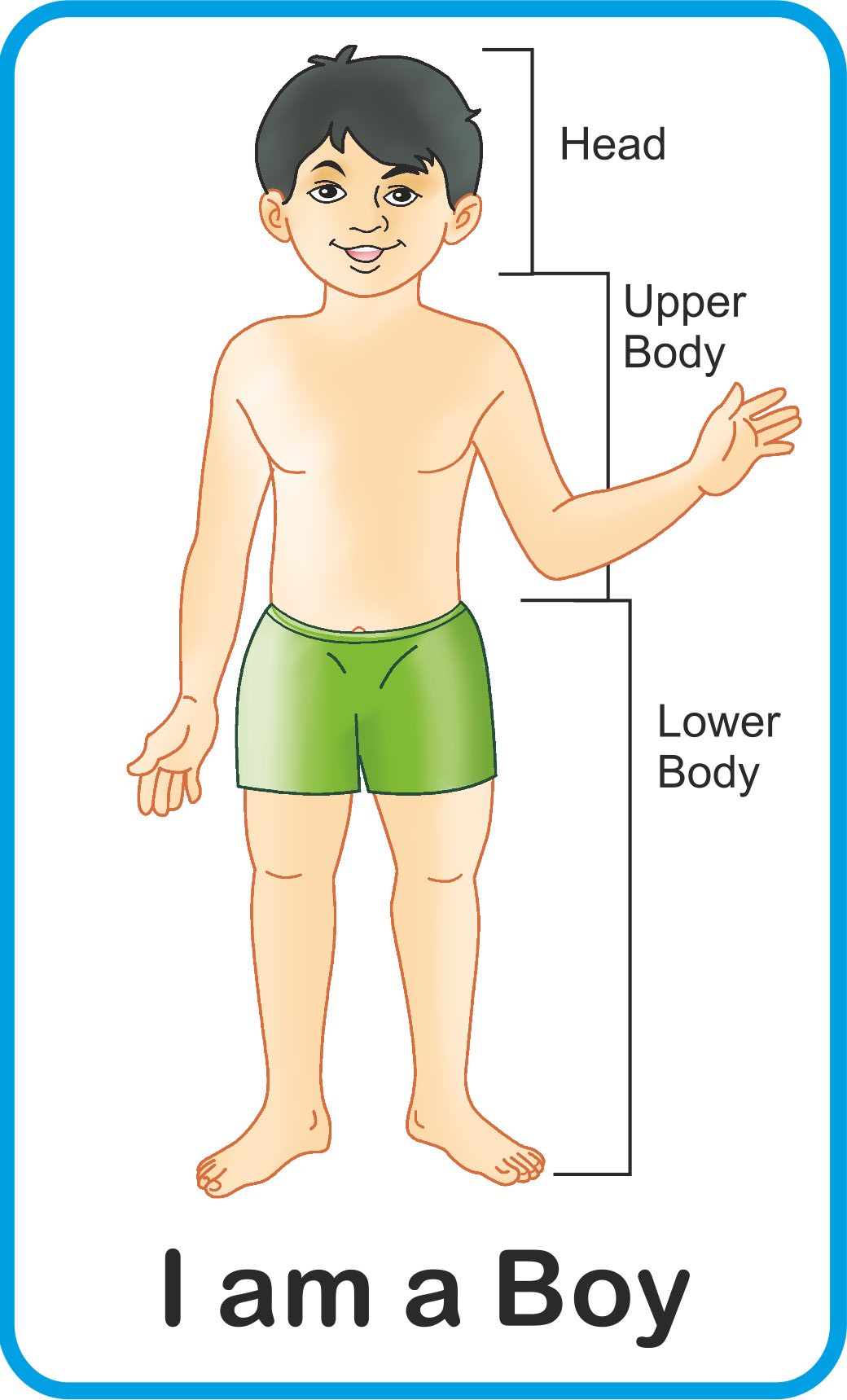 Jolly Kids Flash Card - My Body Parts - Distacart