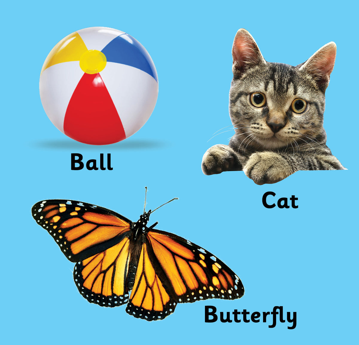 Jolly Kids Touch and Feel Board Book: My First Words| Picture Book for ...