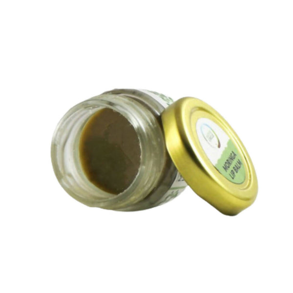 Buy Native Circle Moringa Lip Balm Online at Low Price.