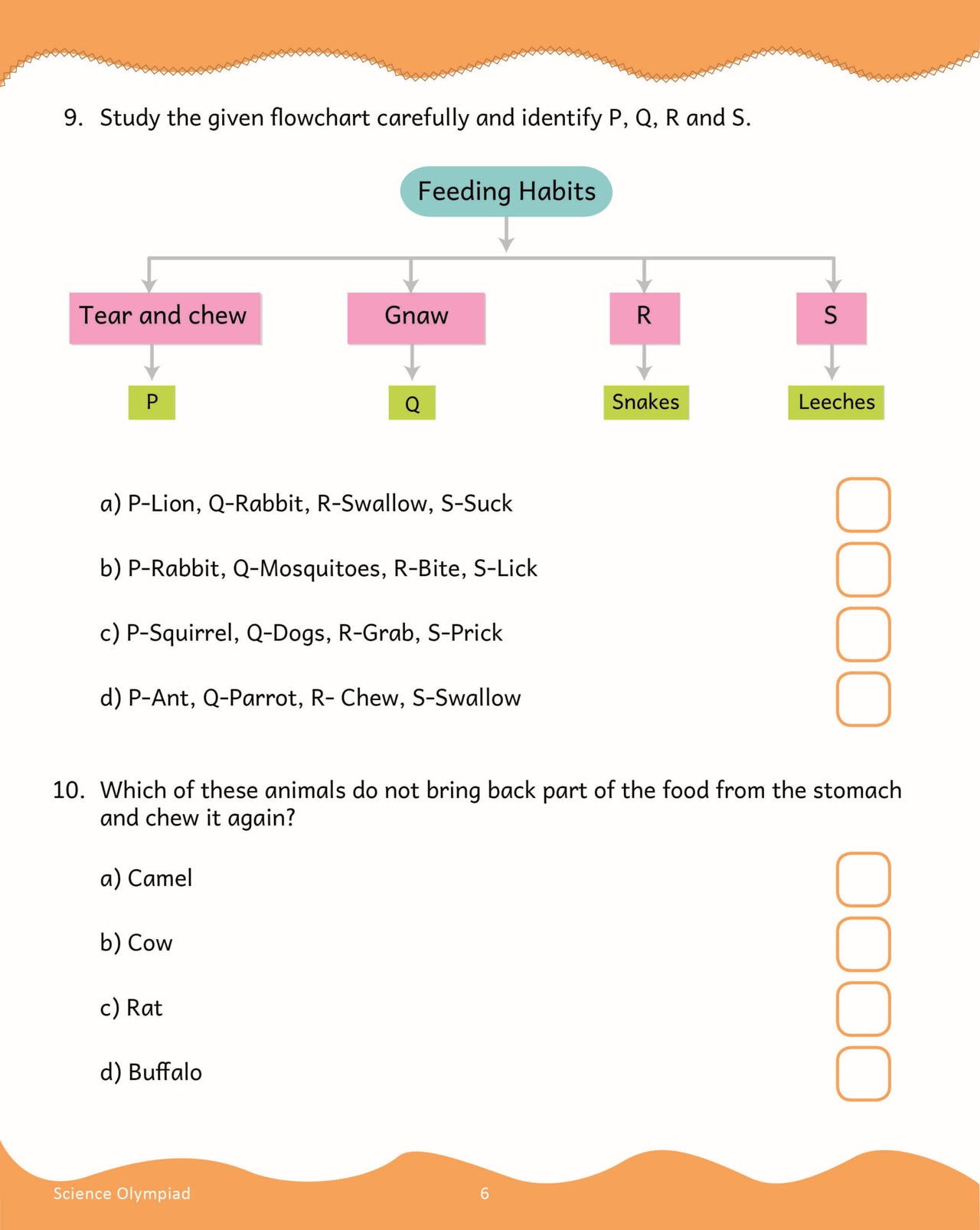 Buy Scholars Insights Science Olympiad Grade 3 Online at Best Price ...