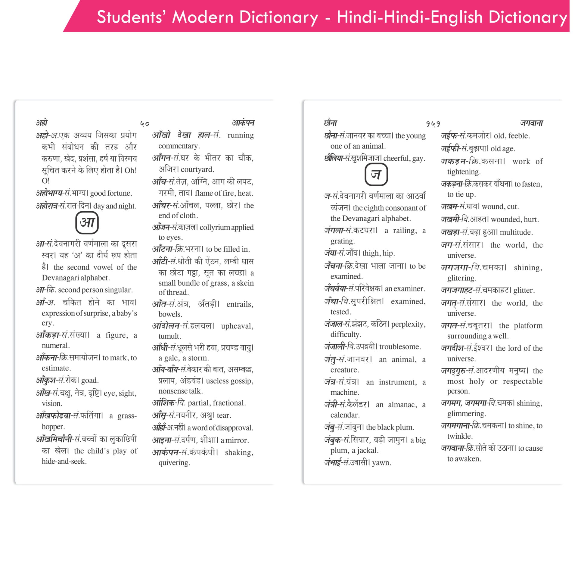 description students modern dictionary hindi hindi english dictionary ...