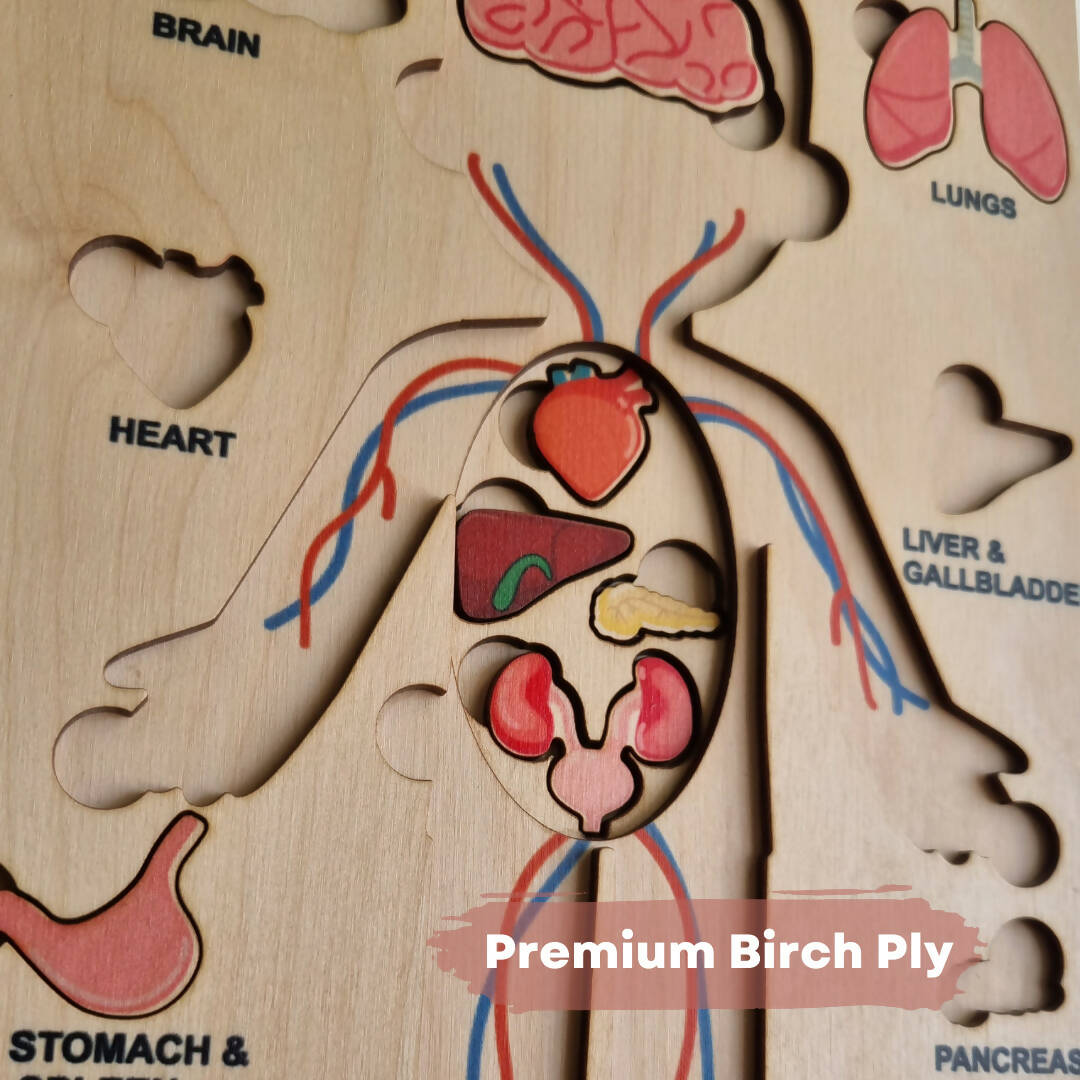 Buy Nesta Toys Human Body | Internal Organs Wooden Puzzle Online at ...