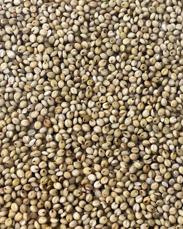 description kalagura gampa andukorralu rice brown top millets about the ...