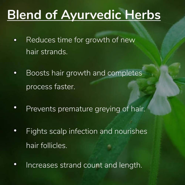 description nature sure thumba wonder hair oil benefits ayurvedic hair ...